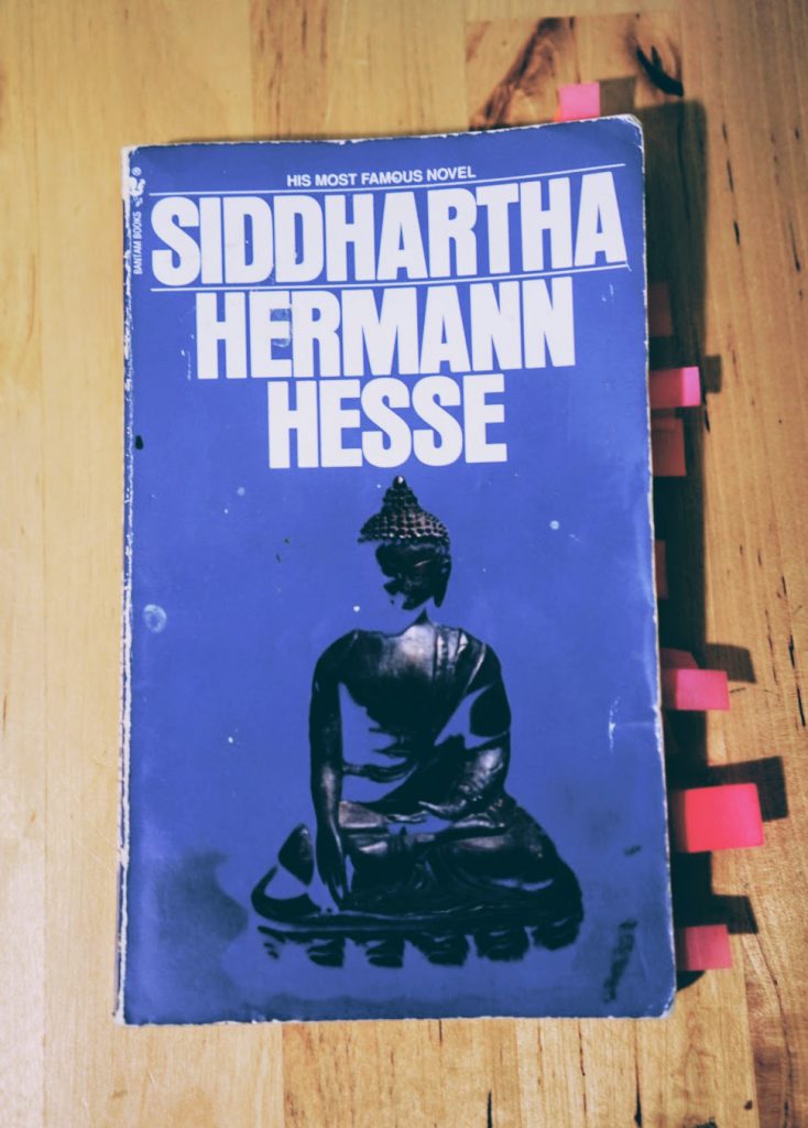 Siddhartha de Hermann Hesse - El libro que me ayudó a salir de la ...